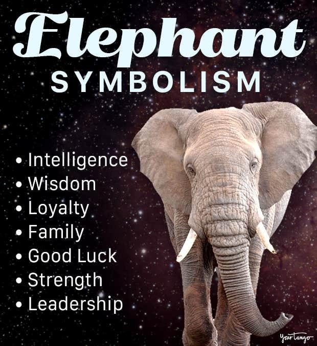 Which Direction Should We Keep an Elephant Statue at Home?