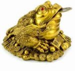 Where to Keep Feng Shui Money Frog: Types | Benefits | Placement