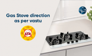 10 Tips for Kitchen as per Vastu: Direction | Placement | Mistakes