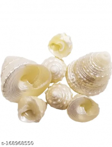 Which Type of Shankh is Good for Home: Benefits & Tips