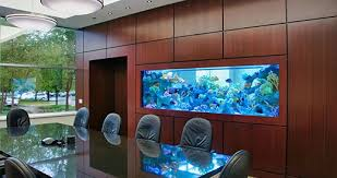 Fish Aquarium Placement as per Vastu in 2025 - Housiey