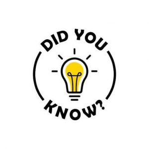 Vashi Railway Station: Route Map | Facts | Station List | Service