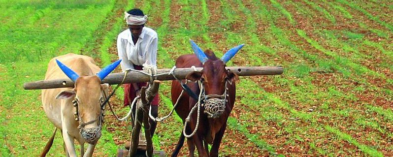 Farm House Construction Rules in Maharashtra in 2025-26
